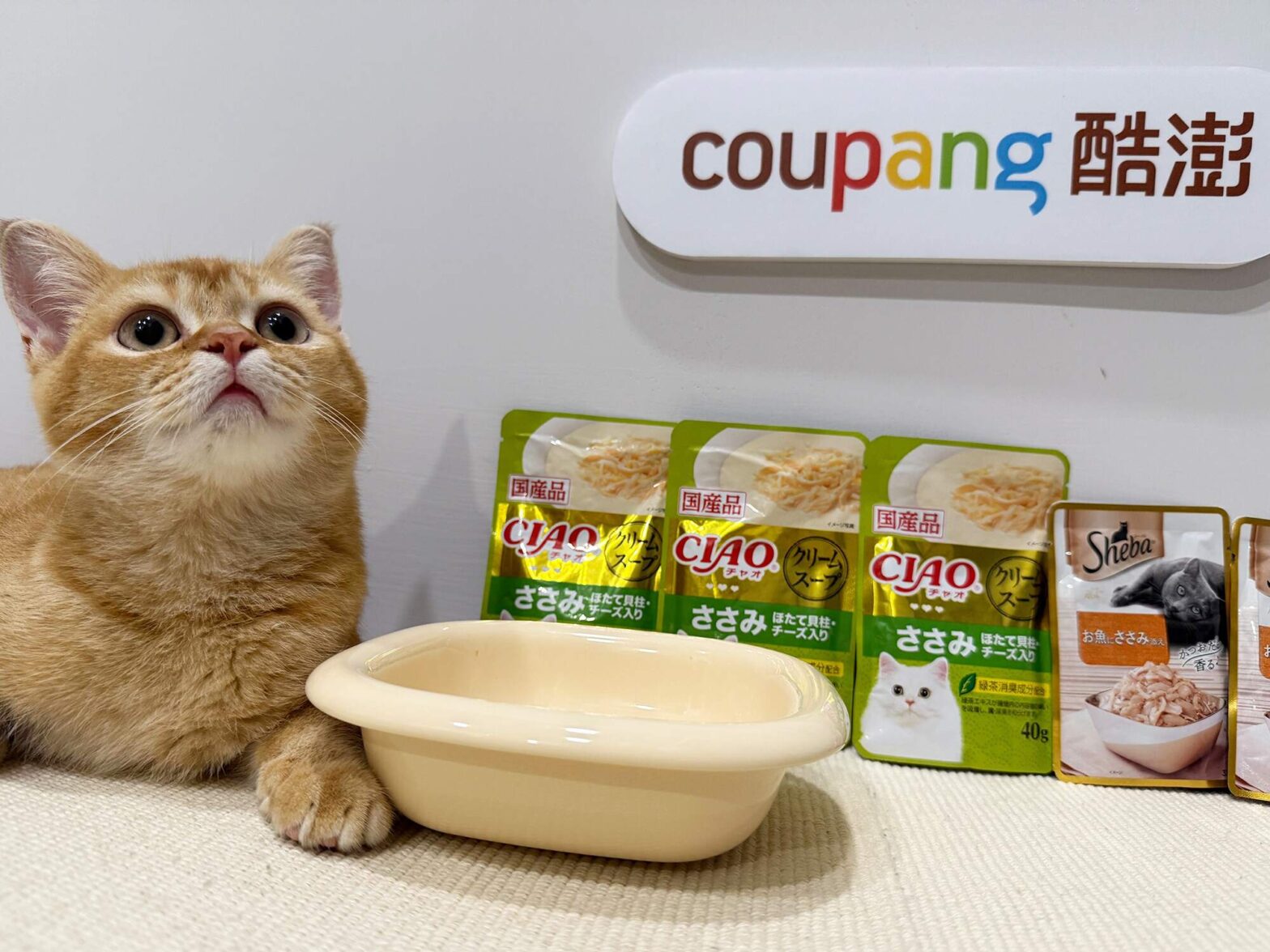 2025年第二季Coupang酷澎銷售排名大公開（上）：食品貨架豐富度大增 - 酷澎台灣 | Coupang Taiwan Newsroom